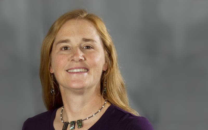 Synergies Of Designed Data Collection And Big Data