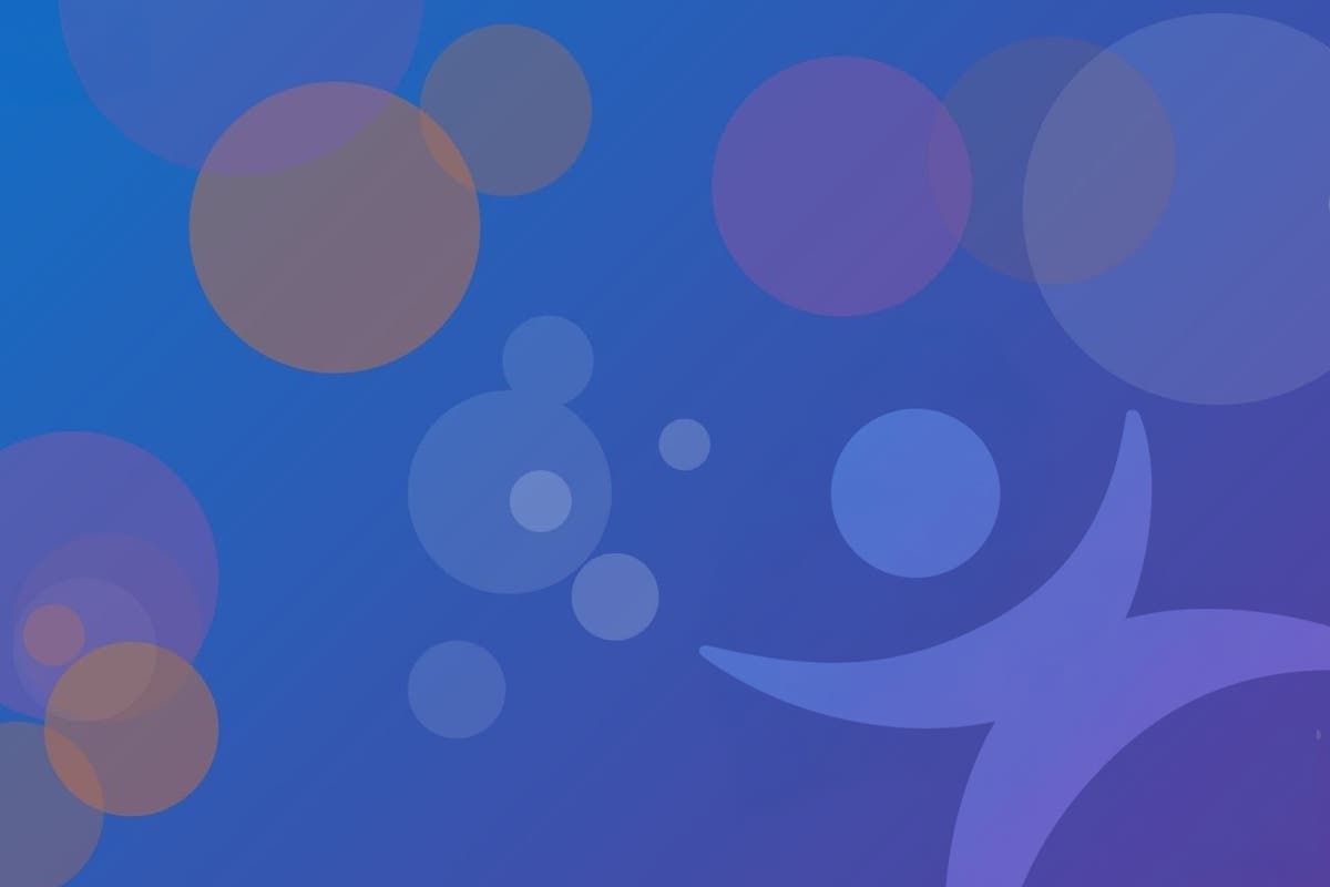 New in JMP Information Request