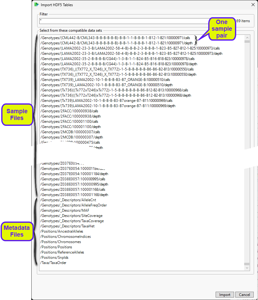 Importing HDF5 Files