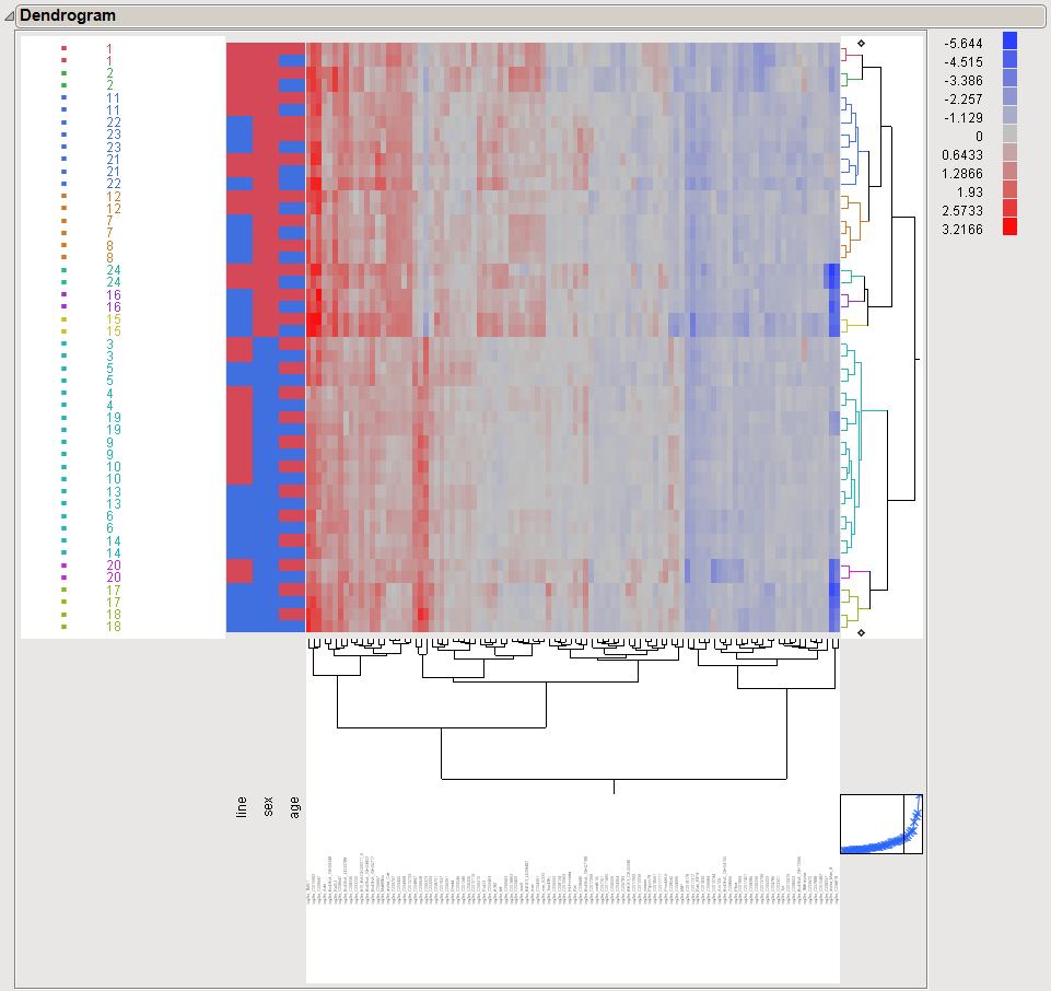 Heat Map and Dendrogram