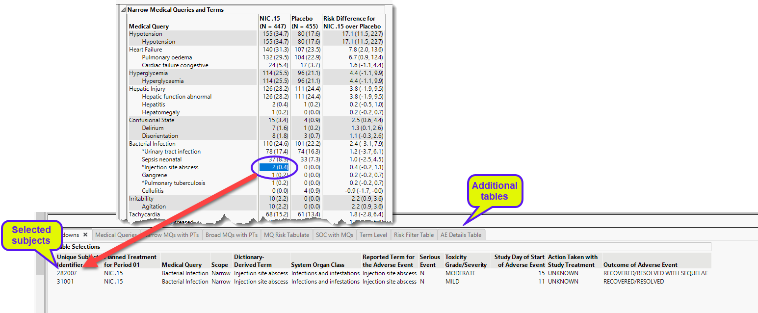 Medical Query Risk Report